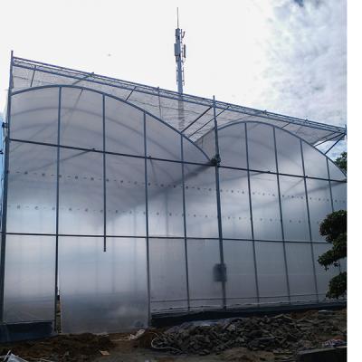 China Excellent Natural Ventilation Sawtooth Greenhouse With Hot Dipped Galvanized Frame And High Roof For Agriculture for sale
