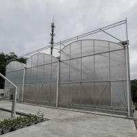 China Ventilation Windproof Greenhouse With Pvc Cover Commercial Polycarbonate Greenhouse Kits for sale
