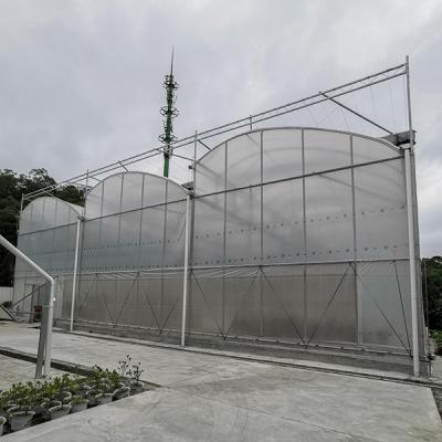 China Ventilation Windproof Greenhouse With Pvc Cover Commercial Polycarbonate Greenhouse Kits for sale