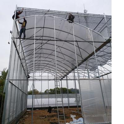 China Modern Greenhouse Ventilation High Roof UV Plastic For Tropical Rainy Regions for sale