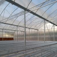 China Excellent Natural Ventilation Sawtooth Greenhouse With Hot Dipped Galvanized Frame And High Roof For Agriculture for sale