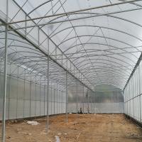 China Modern Greenhouse Ventilation High Roof UV Plastic For Tropical Rainy Regions for sale
