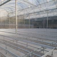 China Industrial Flower Commercial High Tunnel Greenhouse With Fixed Roof Windows for sale