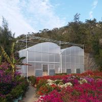 China Industrial Flower Commercial High Tunnel Greenhouse With Fixed Roof Windows for sale
