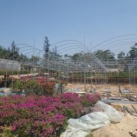 China Modern Greenhouse Ventilation High Roof UV Plastic For Tropical Rainy Regions for sale