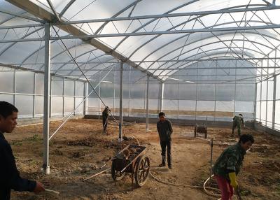China Industrial Flower Commercial High Tunnel Greenhouse With Fixed Roof Windows for sale