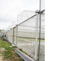 China Rain Resistant Hydroponic Greenhouse Systems With Galvanized Support for sale