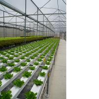 China Ventilation Windproof Greenhouse With Pvc Cover Commercial Polycarbonate Greenhouse Kits for sale
