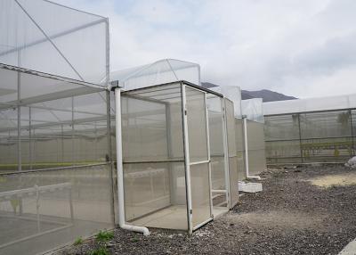 China Rain Resistant Hydroponic Greenhouse Systems With Galvanized Support for sale