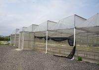 China Rain Resistant Hydroponic Greenhouse Systems With Galvanized Support for sale