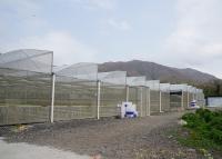 China Rain Resistant Hydroponic Greenhouse Systems With Galvanized Support for sale