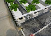 China Customize Outdoor Multi Span Greenhouse Anti Corrision With Sawtooth Shaped Windows for sale
