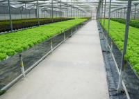 China Heavy Duty Windproof Commercial Hot Houses Reinforced Plastic Greenhouse for sale