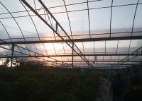 China High Strength Hydroponic Clear Umbrella Greenhouse Strong Poly Tunnel for sale