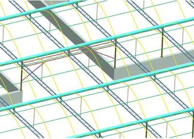 China High Strength Hydroponic Clear Umbrella Greenhouse Strong Poly Tunnel for sale