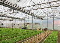 China 12-14m Wide Multi Span Greenhouse Corrosion Resistance For Vegetable Flower Growing for sale