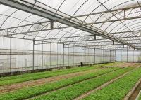 China 12-14m Wide Multi Span Greenhouse Corrosion Resistance For Vegetable Flower Growing for sale