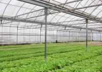 China 12-14m Wide Multi Span Greenhouse Corrosion Resistance For Vegetable Flower Growing for sale