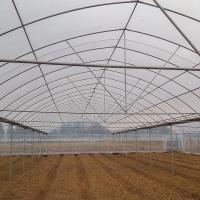 China Economical Multi Span Greenhouse For Pepper Farming Rainwater Collection for sale