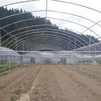 China Stable Structure Anti Corrision Commercial Greenhouse Kits Plastic Pop Up Greenhouse for sale