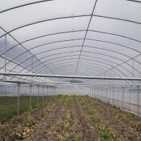 China Polyethylene Multi Span Greenhouse Lightweight UV Protected 80/120/150/200 micron for sale