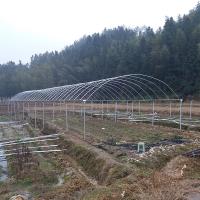 China Polyethylene Multi Span Greenhouse Lightweight UV Protected 80/120/150/200 micron for sale