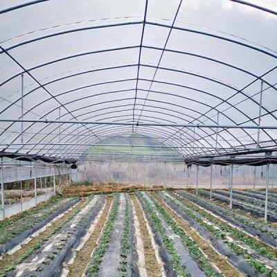 China Insectproof Multi Span Greenhouse Sunshading Net For Flower Growing for sale