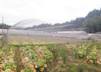 China Durable Heavy Duty Commercial Greenhouse Woven Weather Resistant for sale