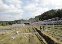 China Durable Heavy Duty Commercial Greenhouse Woven Weather Resistant for sale