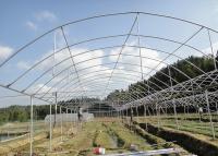 China Insectproof Multi Span Greenhouse Sunshading Net For Flower Growing for sale
