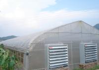 China Smart Industrial Multi Span Greenhouse For Vegetable Growing for sale