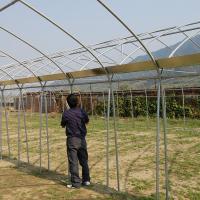 China Smart Industrial Multi Span Greenhouse For Vegetable Growing for sale