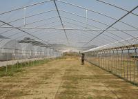 China Strawberry Plastic Outdoor Greenhouse Large Commercial Greenhouse for sale
