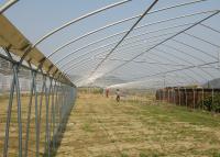 China Plastic Heavy Duty Multi Span Greenhouse Suitable For Agricultural Planting for sale