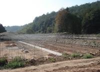 China Strawberry Plastic Outdoor Greenhouse Large Commercial Greenhouse for sale