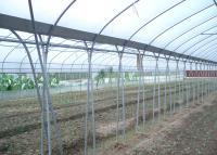 China Plastic Multi Span Commercial Tunnel Greenhouse Metal Frame Plastic Greenhouse for sale