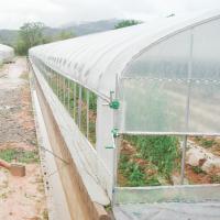 China Large Polyethylene Multi Span Greenhouse 200 Micron UV Resistant for sale
