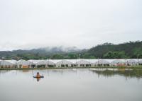 China Manual Multi Span Greenhouse 3.5-4.5 Meter Roof Height For Planting for sale