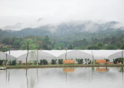 China Plastic Heavy Duty Multi Span Greenhouse Suitable For Agricultural Planting for sale