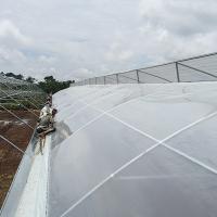 China Poly Multi Span Greenhouse With Sawtooth Roof Ventilation 10-60 Meter for sale