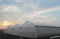 China Agricultural Pvc Greenhouse Kits Poly Tech Greenhouse For Tomato Farming for sale