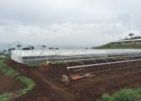 China Horticulture Tropical Large Pvc Greenhouse With Agricole Metal Frame for sale