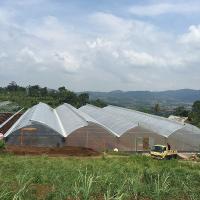 China Horticulture Tropical Large Pvc Greenhouse With Agricole Metal Frame for sale