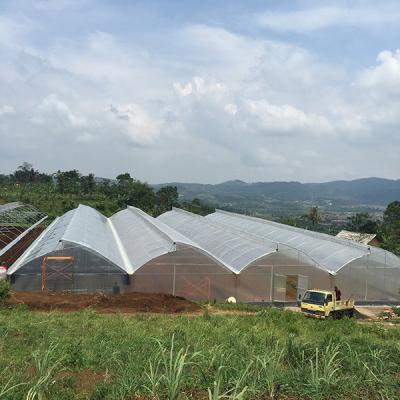 China Horticulture Tropical Large Pvc Greenhouse With Agricole Metal Frame for sale