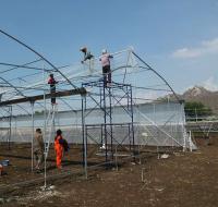 China Top Multi Span Greenhouse 10 Meter Length With Insect Net Window for sale
