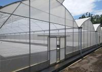 China Customized Multi Span Greenhouse No Welding For PVC Tube NFT Hydroponics System Planting for sale