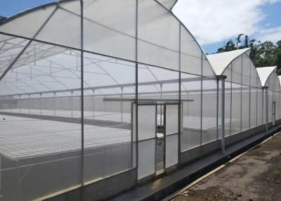 China Customized Multi Span Greenhouse No Welding For PVC Tube NFT Hydroponics System Planting for sale