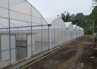 China Top Multi Span Greenhouse 10 Meter Length With Insect Net Window for sale