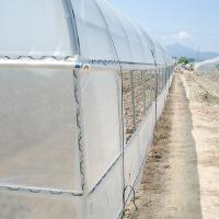 China Pe Film Uv Resistant Greenhouse Plastic Sheet For Greenhouses for sale