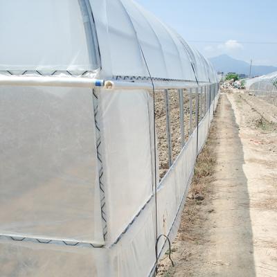 China Pe Film Uv Resistant Greenhouse Plastic Sheet For Greenhouses for sale